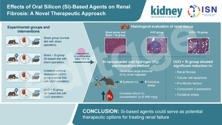 Kidney Internationalのガイドラインに合わせたグラフィカルアブストラクト作成するための実践ガイド！ - Editage Blog